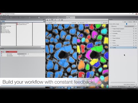 Amira-Avizo Software | Image Stack Processing - YouTube