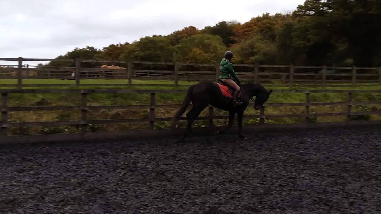 Bullet first time jumping - YouTube