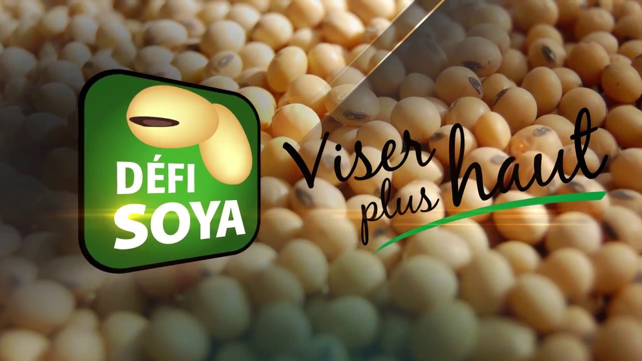 S'adapter aux variétés de soya plus branchues - YouTube