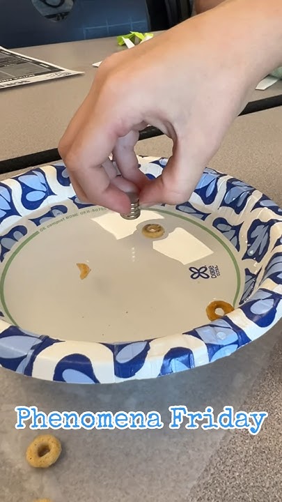 Phenomena Friday in my 6th grade Science class 🧪🔬 This week, magnets ...