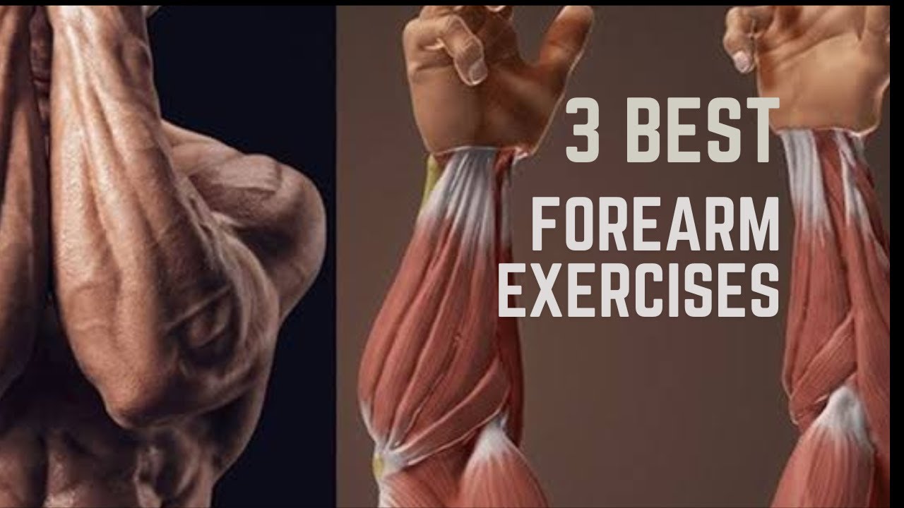 3 best exercise for forearms|how get bigger forearms (@Umerypehalwan ...