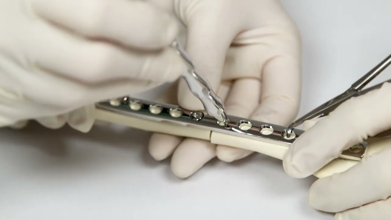 Dynamic Compression Plates (Veterinary Orthopaedics Instrumentation ...