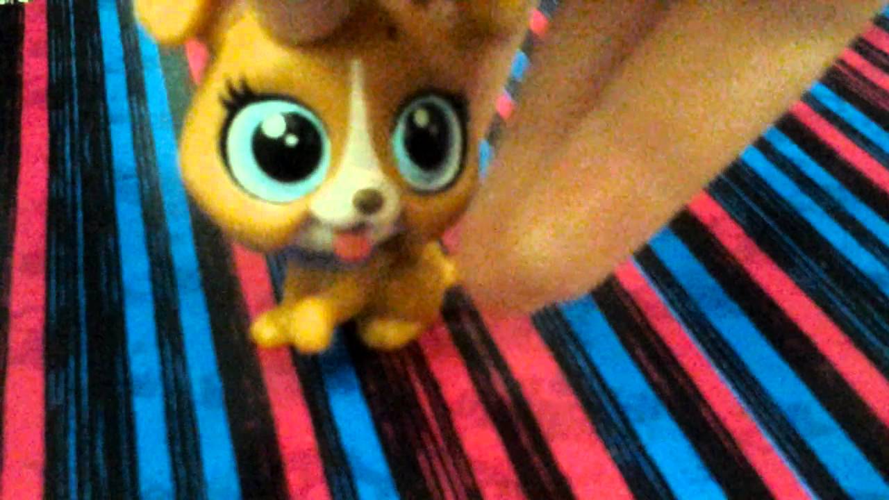 Обзор на мою коллекцию LPS. (Снимаю я конечно круто) - YouTube