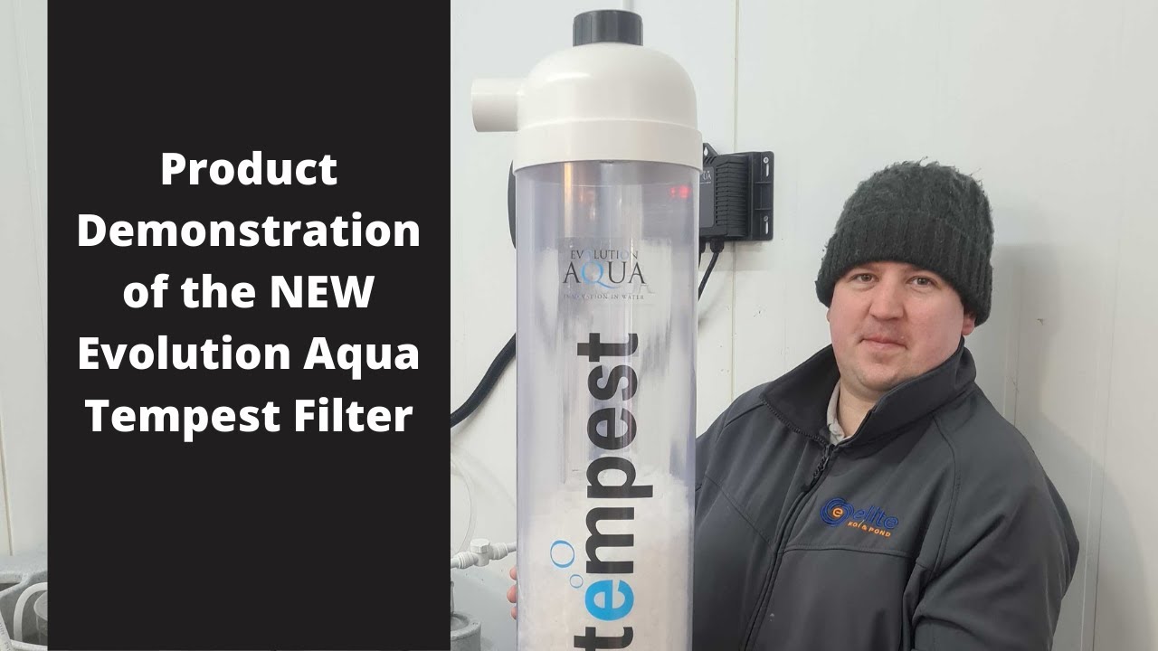 Product Demonstration of the NEW Evolution Aqua Tempest Filter - YouTube