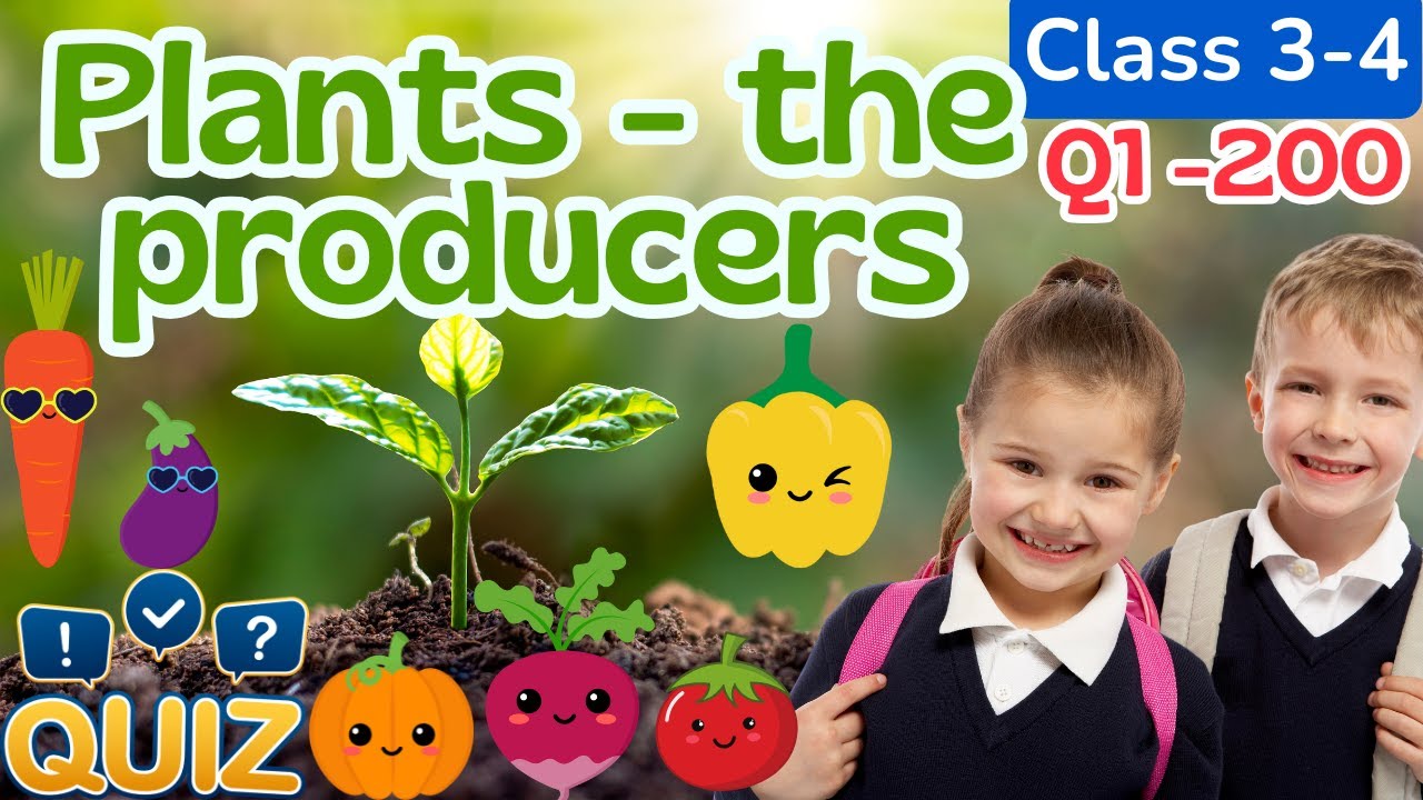 Class 4 | Plants - The Producers | Science | Quiz | Q1-Q200 #class4 # ...
