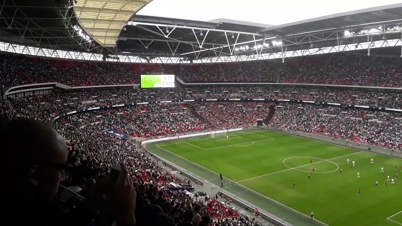 Goal celebration after Tottenham Hotspur goal in Tottenham vs ...