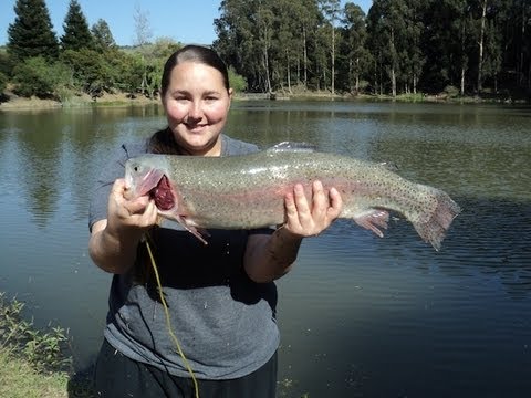 "7 Pound Trout, Sucker Fish and More!" By Verdugoadventures! - YouTube