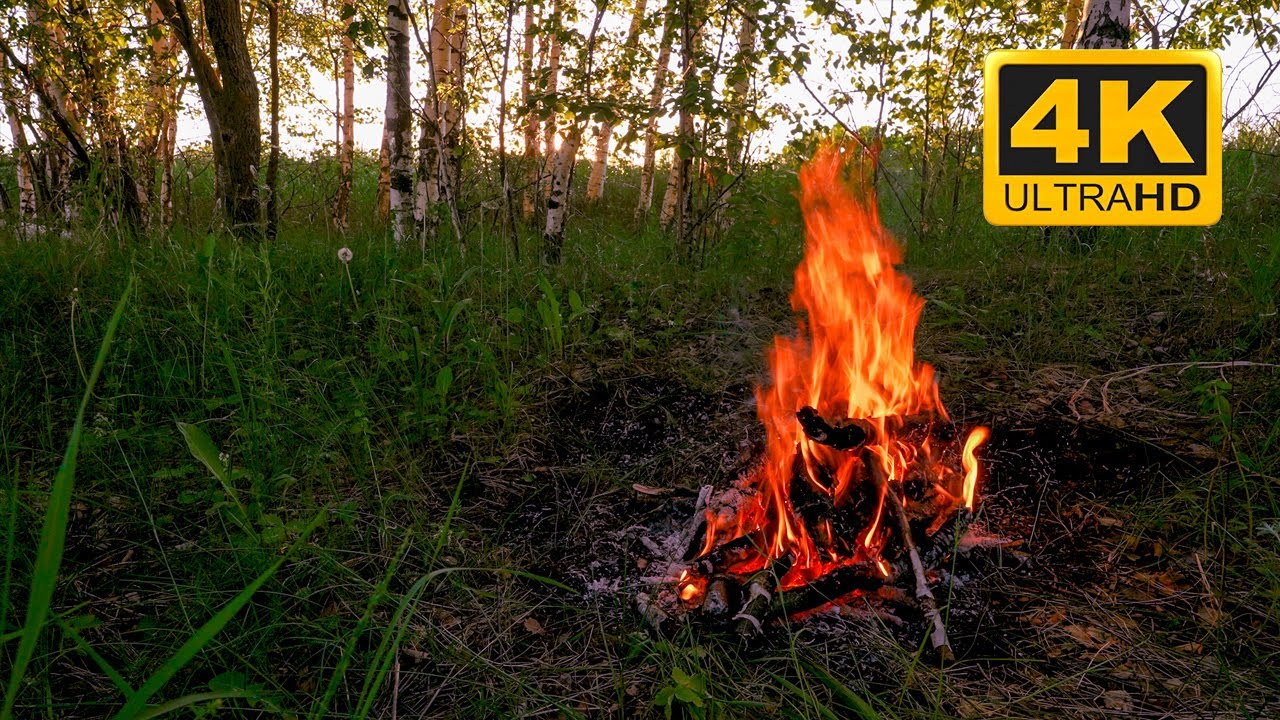 🔥 4K Campfire in the Forest (3 HOURS). Relaxing Campfire with Burning ...