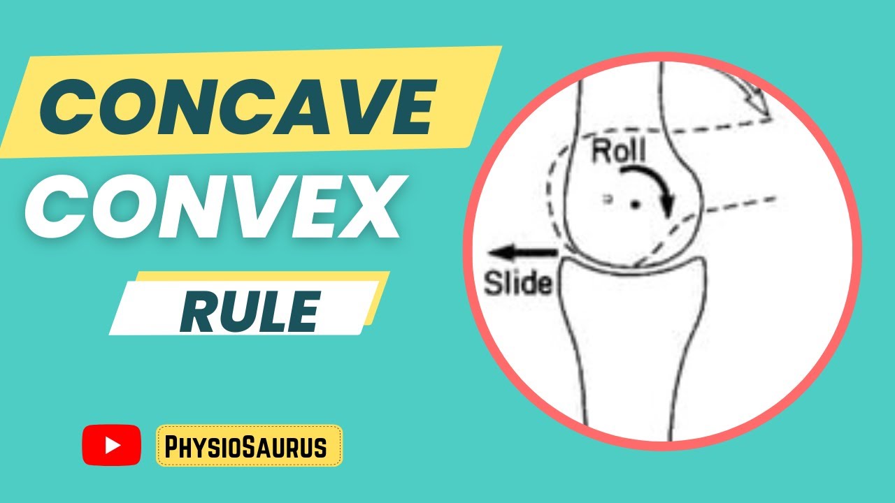 What is concave convex rule? | Concave convex rule in biomechanics ...