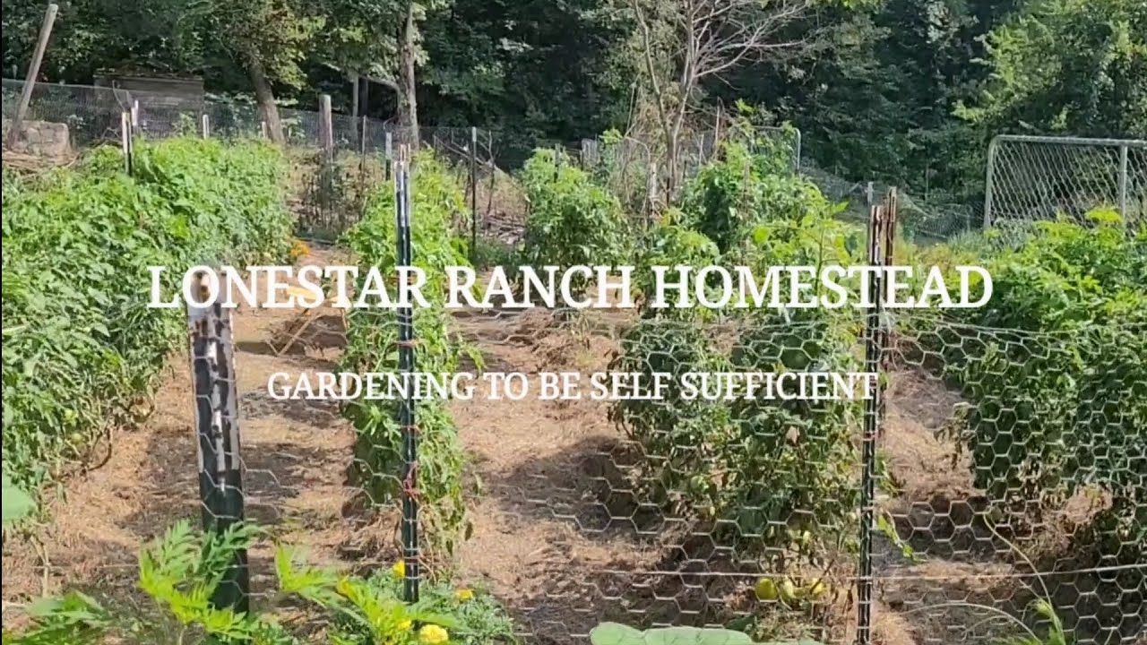 #subscribe #share GARDENING, CANNING & PRESERVING TO BE SELF SUFFICIENT ...