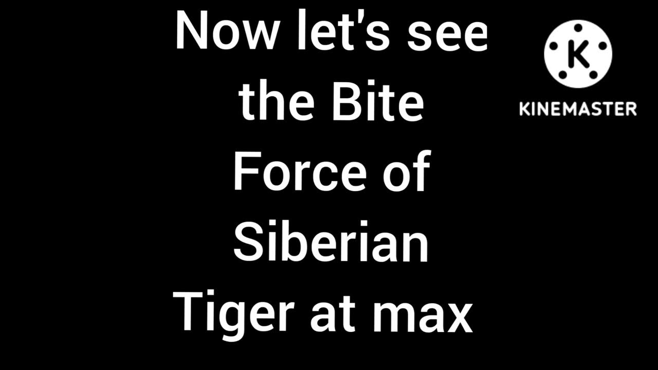 Bite Force Measurement Tests Confirmed That Tigers Have 7 More bite-force-measurement-tests-confirmed-that-tigers-have-7-more