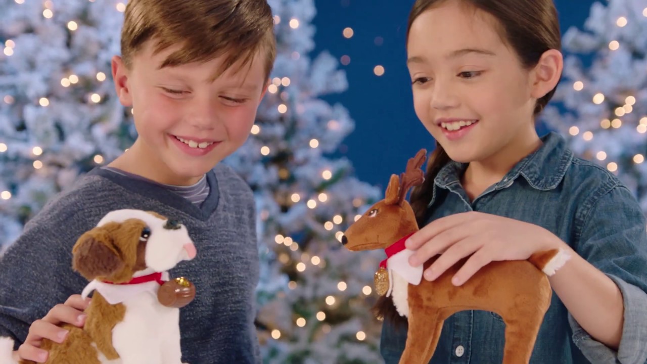 Elf Pets Broadcast Spot - YouTube