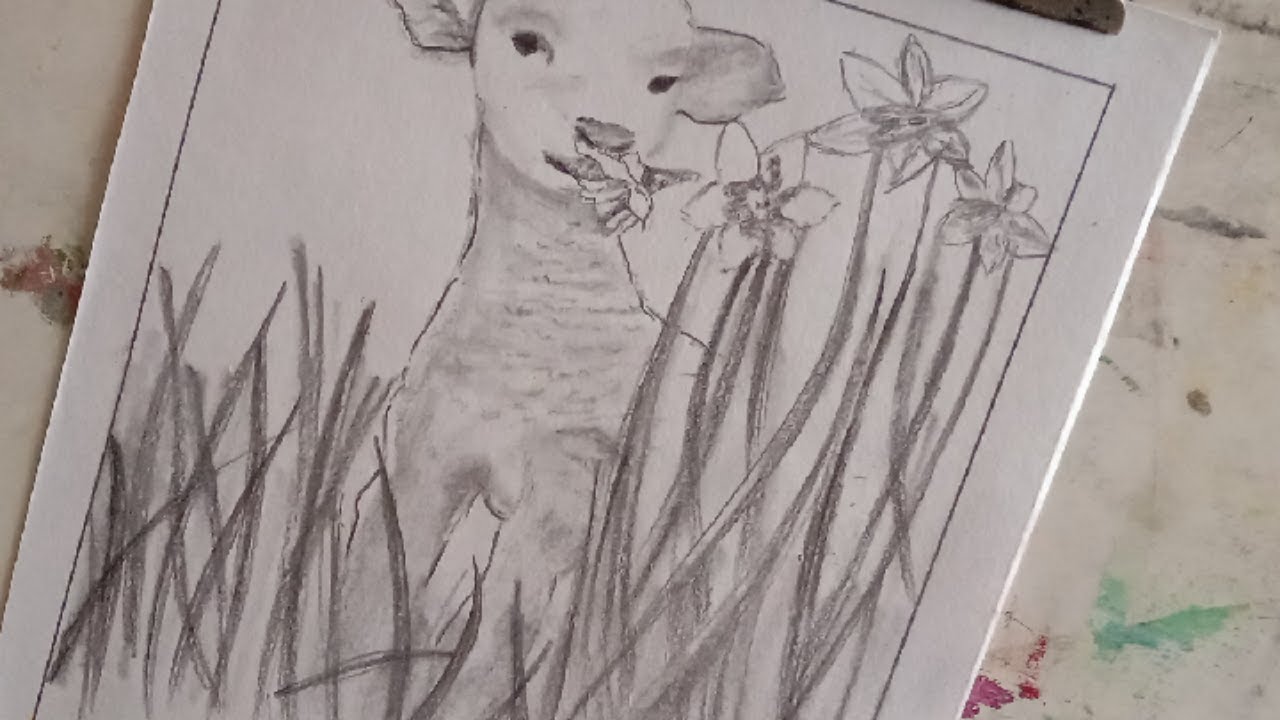 How to draw baby lamb and daffodils | Timelapse video | Spring Magic ...