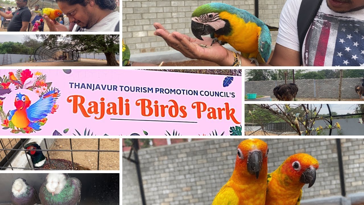 Rajali Birds Park in Thanjavur: A Mesmerizing Encounter with Feathered ...