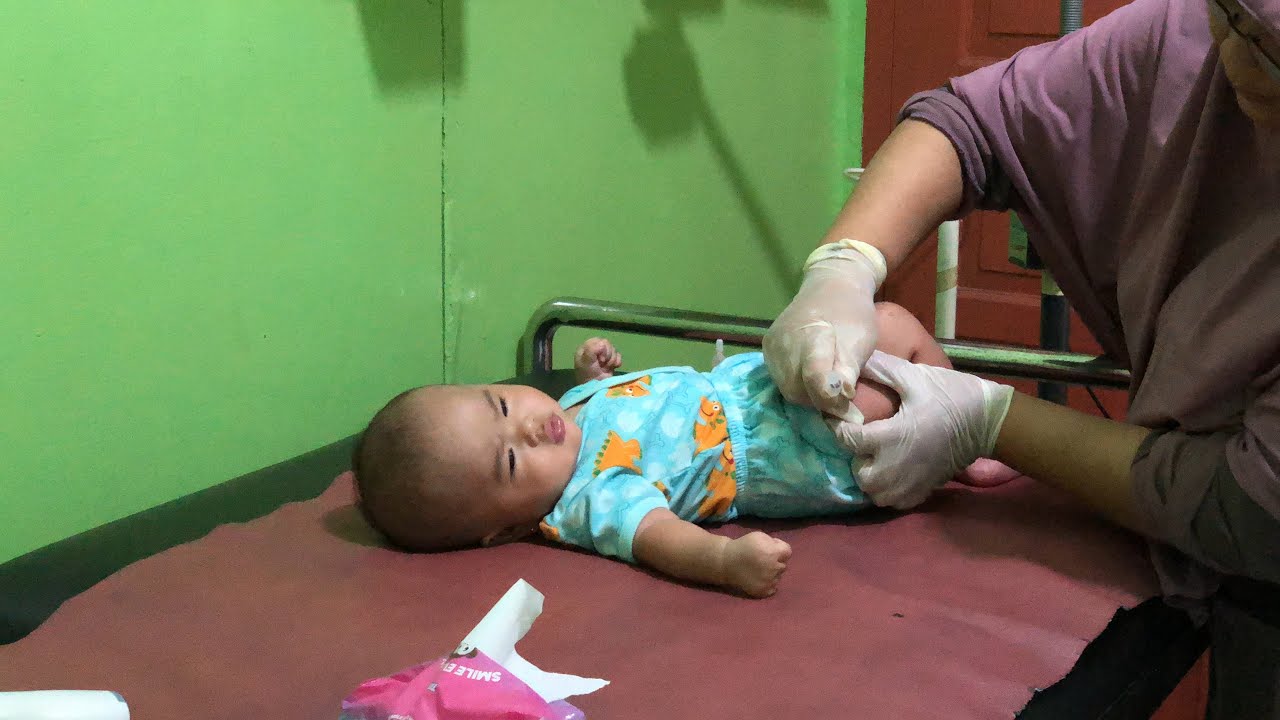 SUNTIK BAYI NAGIS SEBENTAR, PADAHAL NAYSHE DISUNTIK 2 KALI - SUNTIK ...