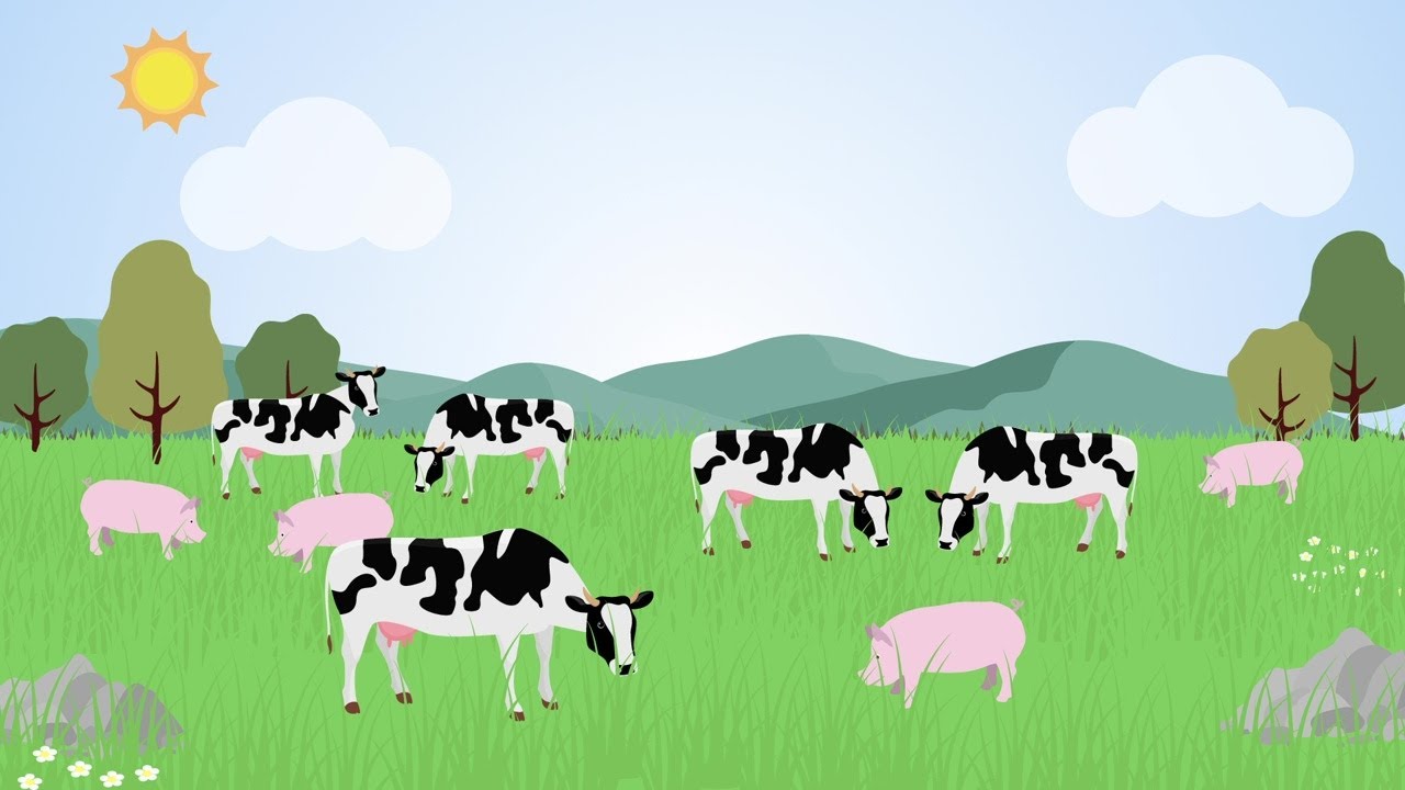 How do you turn pig manure into a valuable resource? - YouTube