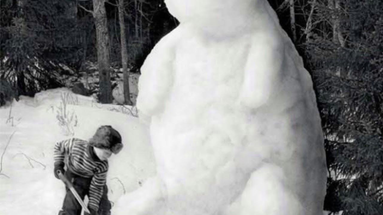 Coconac (poveste pentru copii) - YouTube