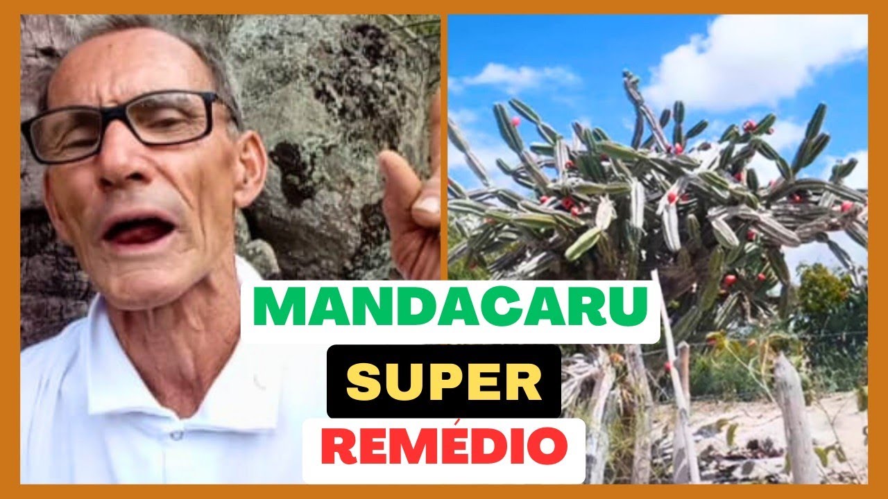 MANDACARU - Todos os BENEFÍCIOS para a sua SAÚDE! - YouTube