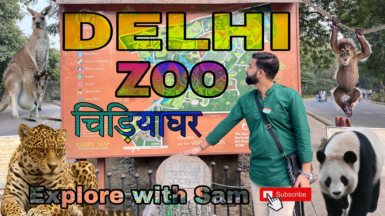 Exploring Delhi Zoo: A Day with Wildlife" | Delhi Zoo | National ...