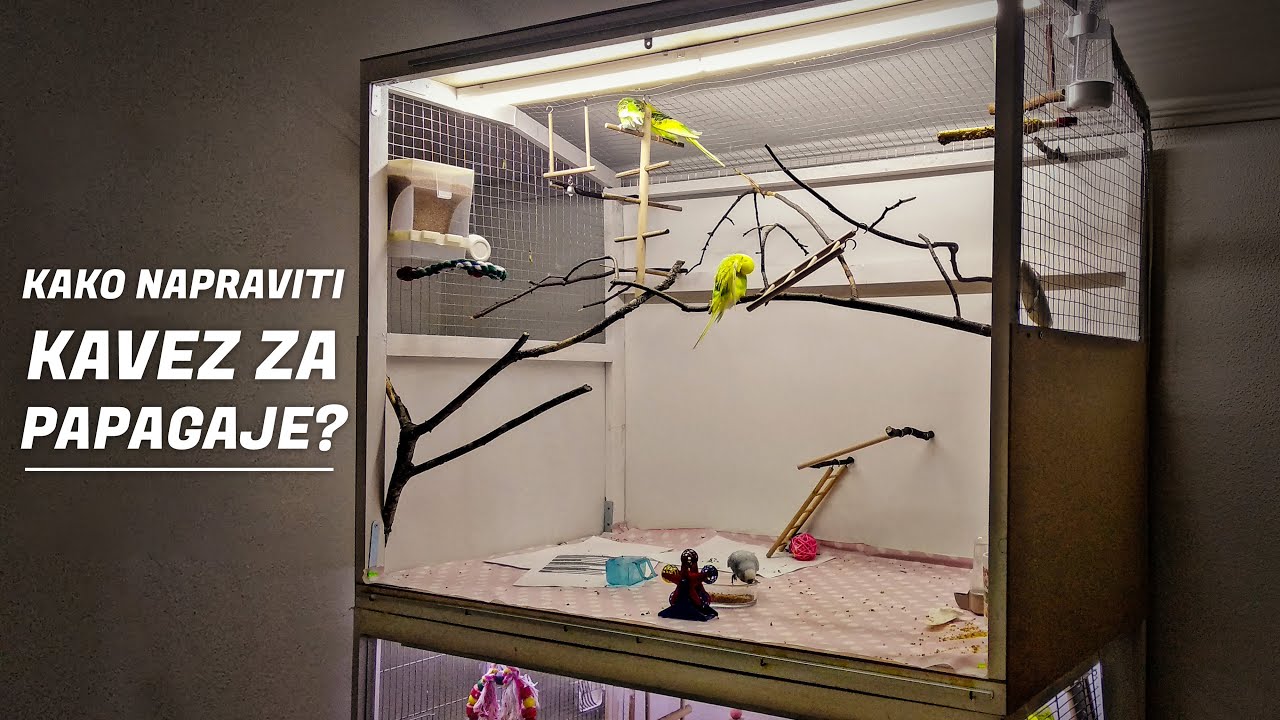 Kako napraviti kavez za Papagaje Tigrice - YouTube