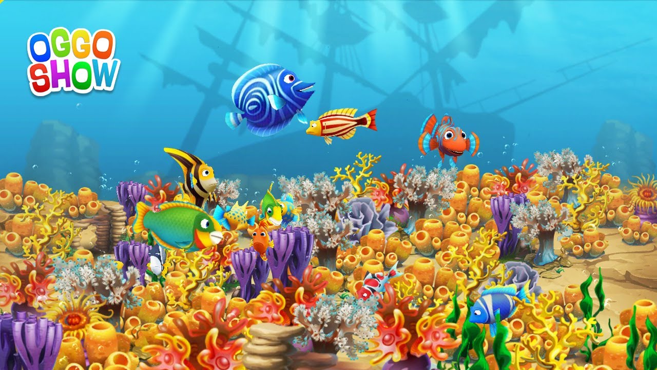 Dazzling Underwater with Colorful Fish, Beautiful Coral and a Shipwreck ...
