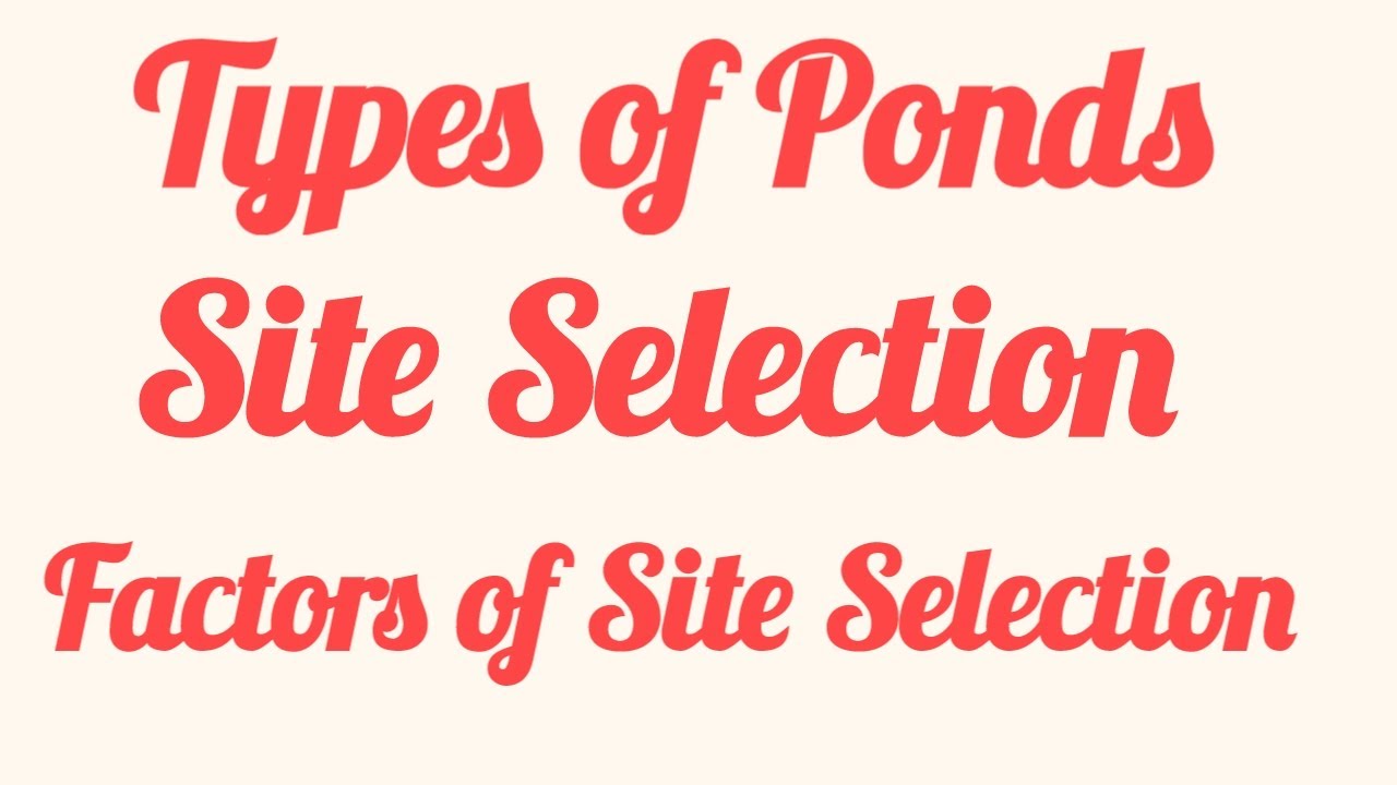 Types of Ponds I Site Selection for pond - YouTube
