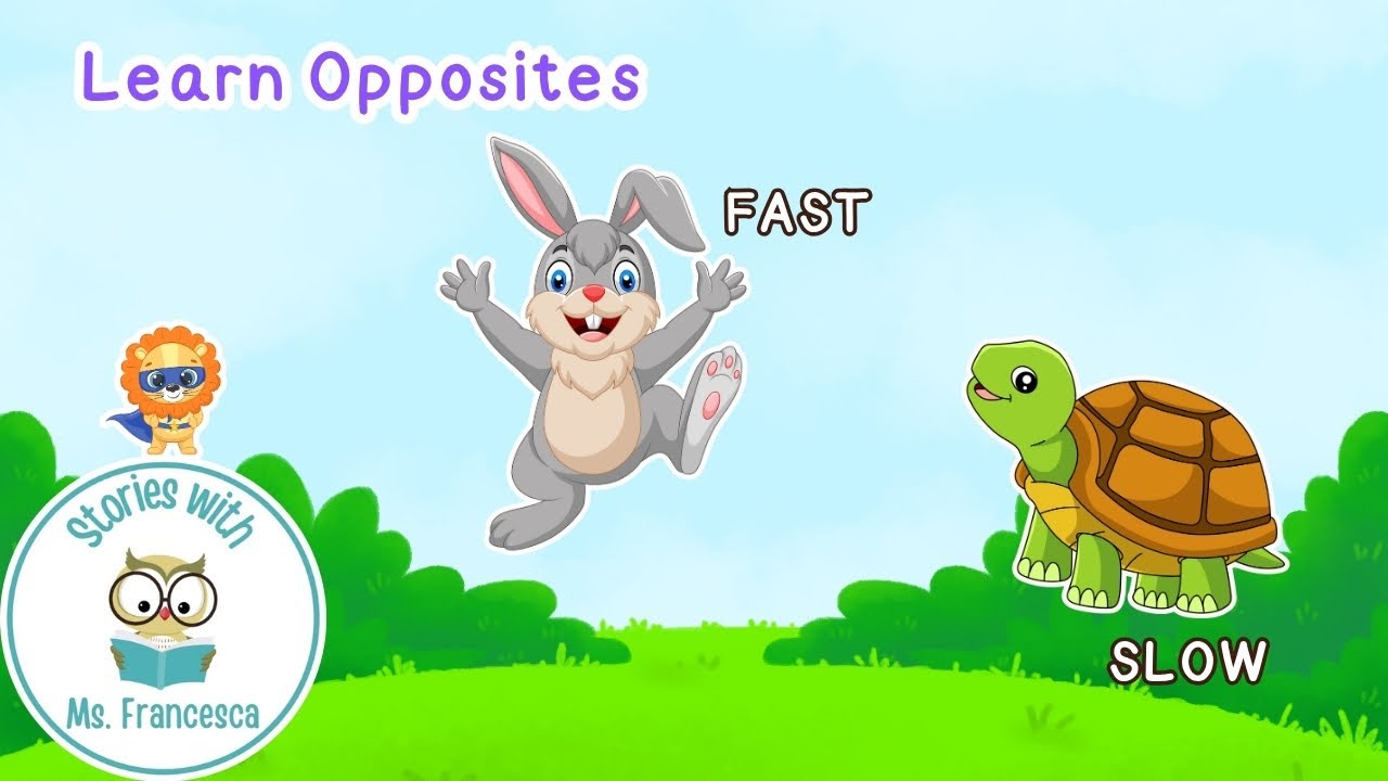 Mighty Matt Learns Opposites | Storytime | Read Aloud - YouTube