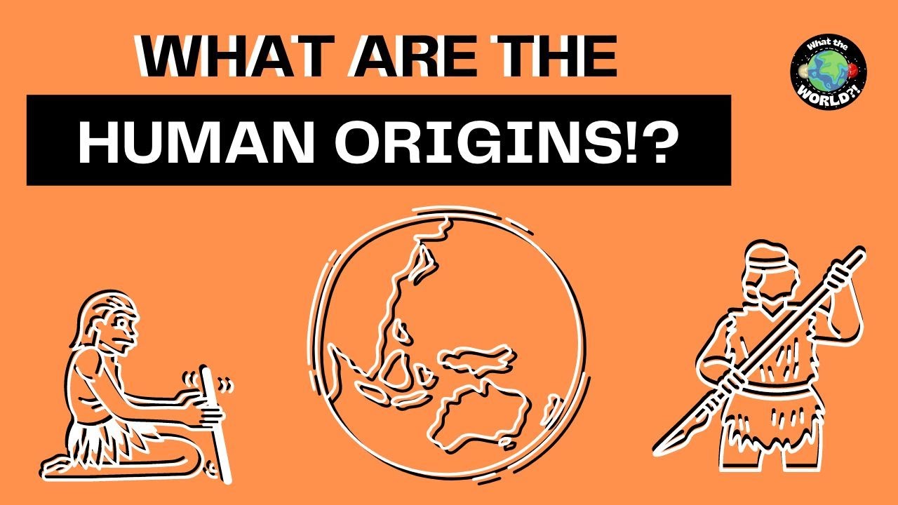 What is the origin of humanity? - YouTube