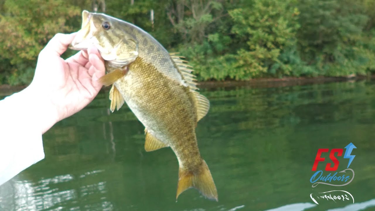 Catching Smallmouth & Busting Chops - Ohio River Bass Fishing - YouTube