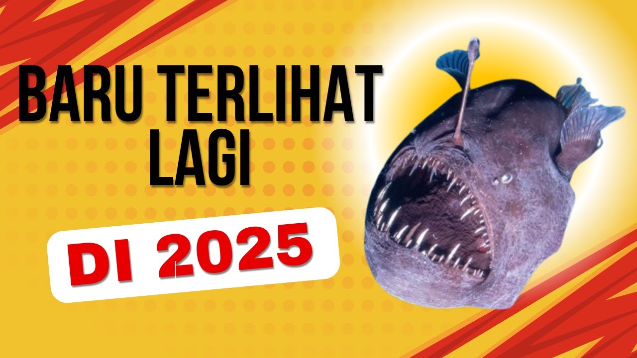 PENEMUAN PERTAMA KALINYA !! Ikan MONSTER Laut Dalam! Penampakan Asli ...