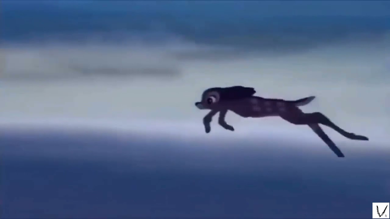 run bambi run - YouTube