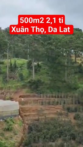 500m2 2,1 ti xa Xuan Tho, Tp Da Lat. p0023 0917446533 #shorts - YouTube