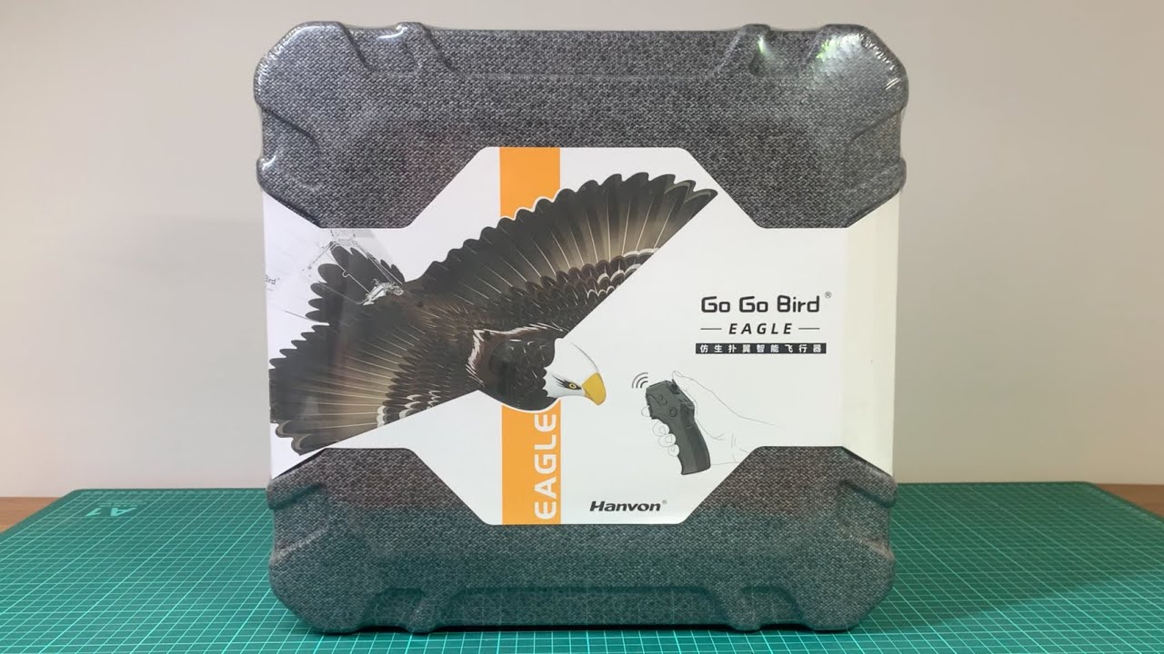 RC Go Go Bird EAGLE Unboxing & Test Flight - YouTube