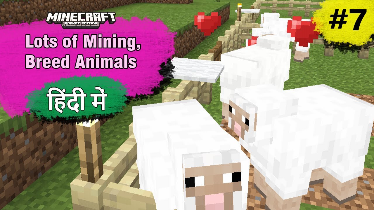 #7 - Lots of Mining and Breed Animals in Minecraft PE | in Hindi ...