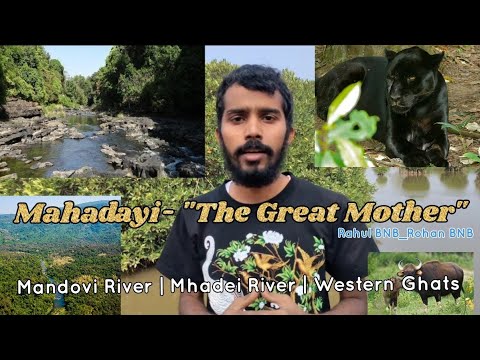 Mahadayi- "The Great Mother" | Mandovi River | Mhadei River | Western ...