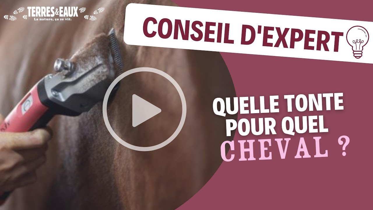 Quelle tonte pour quel cheval ? - YouTube