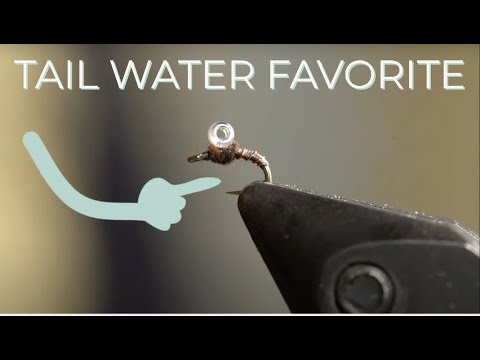 Guide Flies: Bead Wing Midge - YouTube