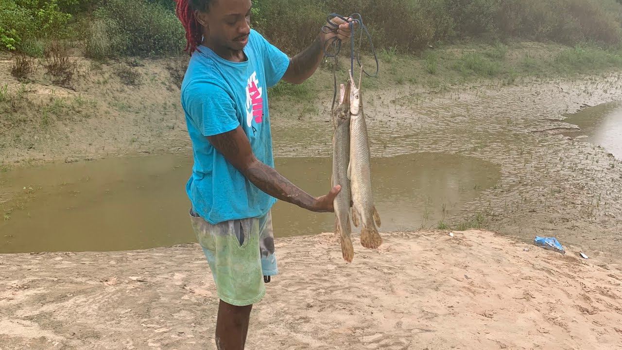 Alligator gar Catch/clean/cook 🐊 - YouTube