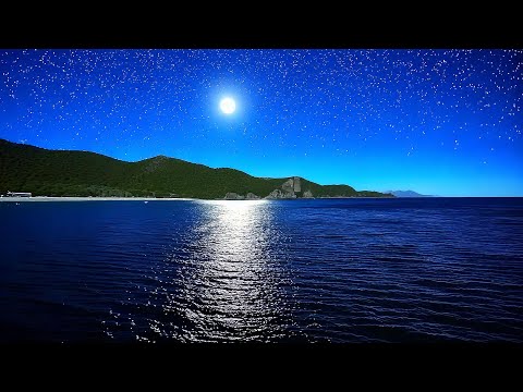 Gececi Tayfaya Özel Sakin Ders Çalışma Ambiyansı - Deniz ve Cırcır Sesleri ile % 100 Konsantrasyon