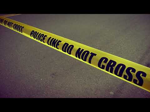 Wolf, A Jessica James Mystery, Book Trailer