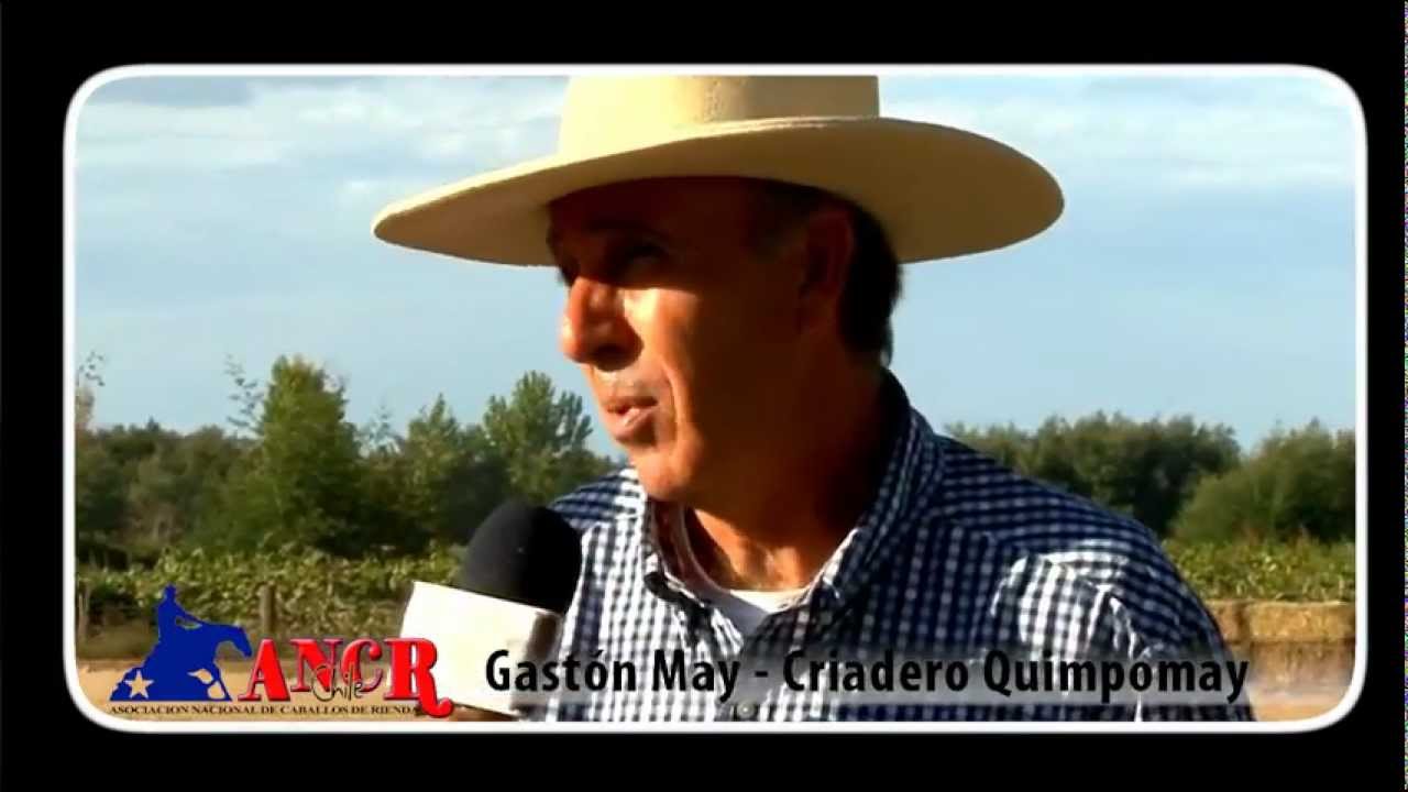 SELLO DE RAZA Entrevista Gastón May criadero Quimpomay - YouTube