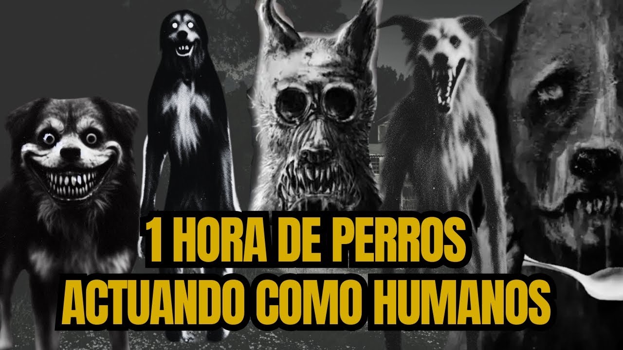 ¡Miedo Real! Cuando los Perros se Comportan como Humanos y Otros ...