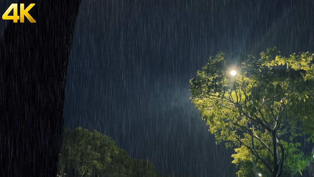 Relax for a Deep Sleep with Gentle Rain Under The Night Trees | Lullaby ...