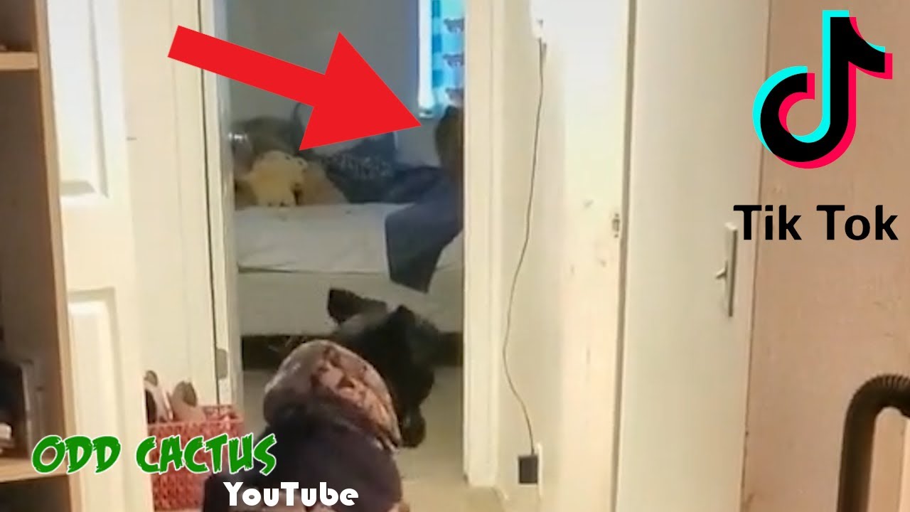 史上五個最恐怖的Tik Tok抖音拍到的靈異畫面 - YouTube