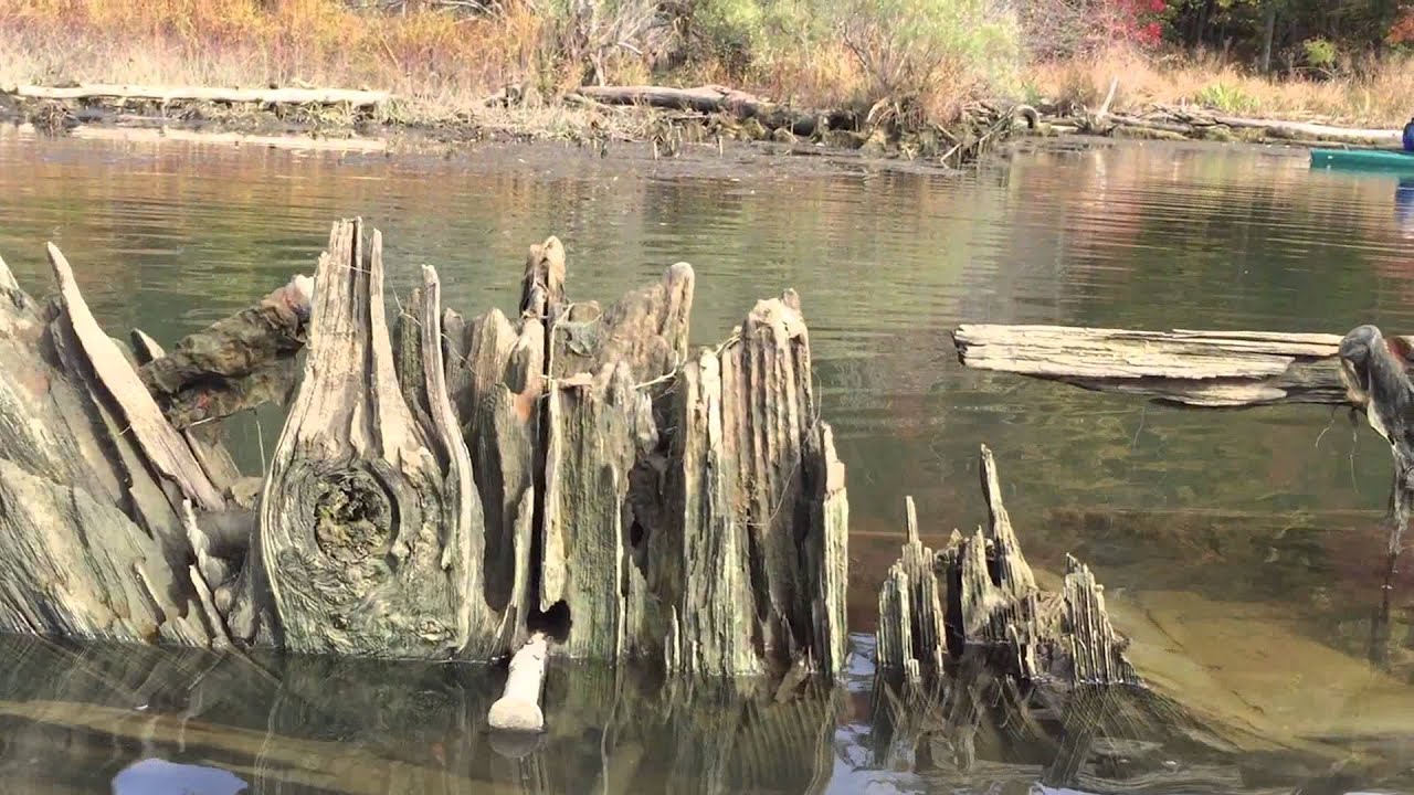 Historic Sunken 'Ghost Fleet' Lurks In Maryland's Mallows Bay - YouTube