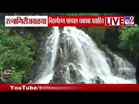 Ratnagiri जवळचा निसर्गरम्य पानवल धबधबा प्रवाहित | WaterFall