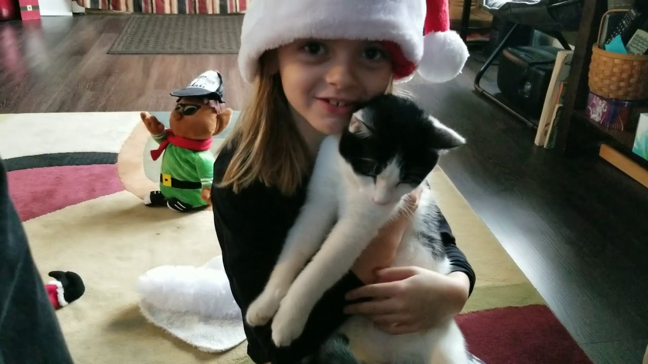 Elf on the shelf, Elfie selfie, elf baby, elf caught flying and oh yeah ...