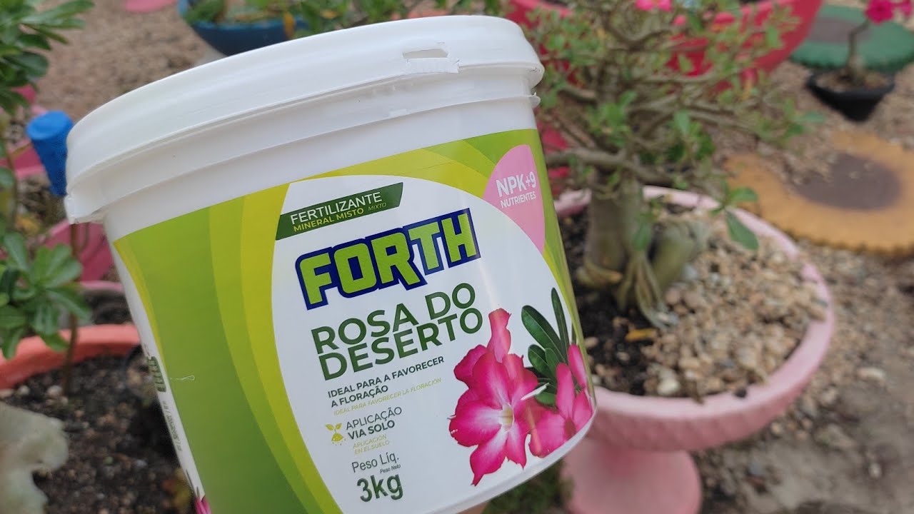 Como eu uso Fort rosa do deserto ou Fort flores nas minhas plantas ...