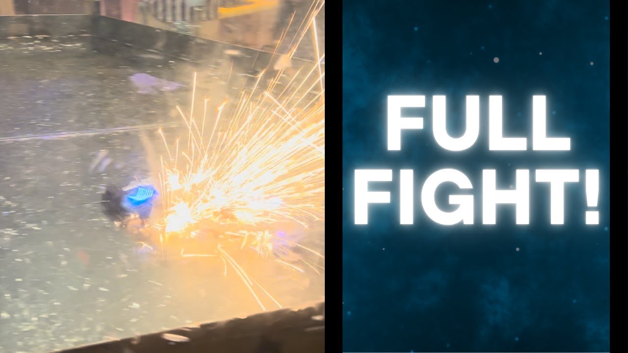 FULL FIGHT | Mega Catnip vs Misdirected Aggression - YouTube