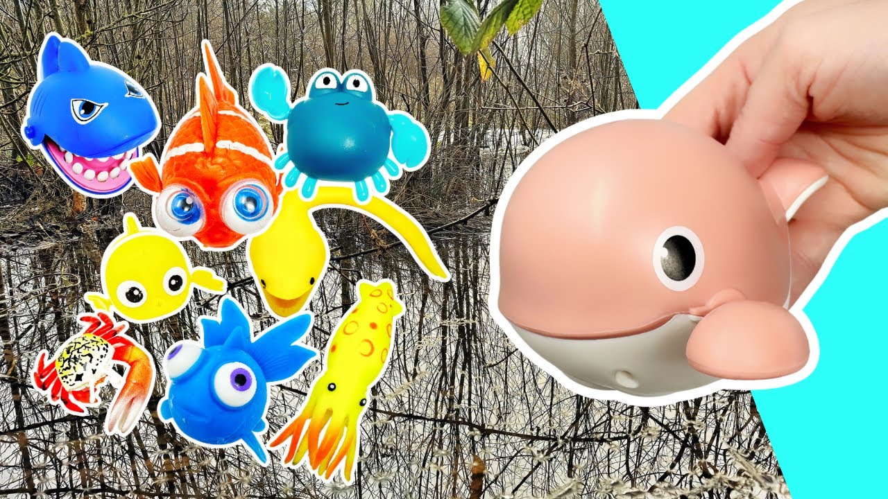 Learn Sea Animal Names & Facts at the Woodland Pond for Kids: Whale ...